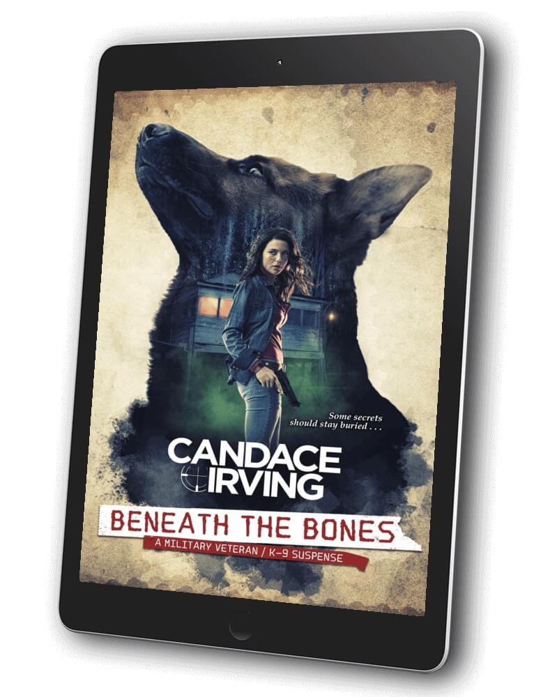 BENEATH THE BONES: A HIDDEN VALOR MILITARY VETERAN/K-9 MYSTERY, Book 3 ...