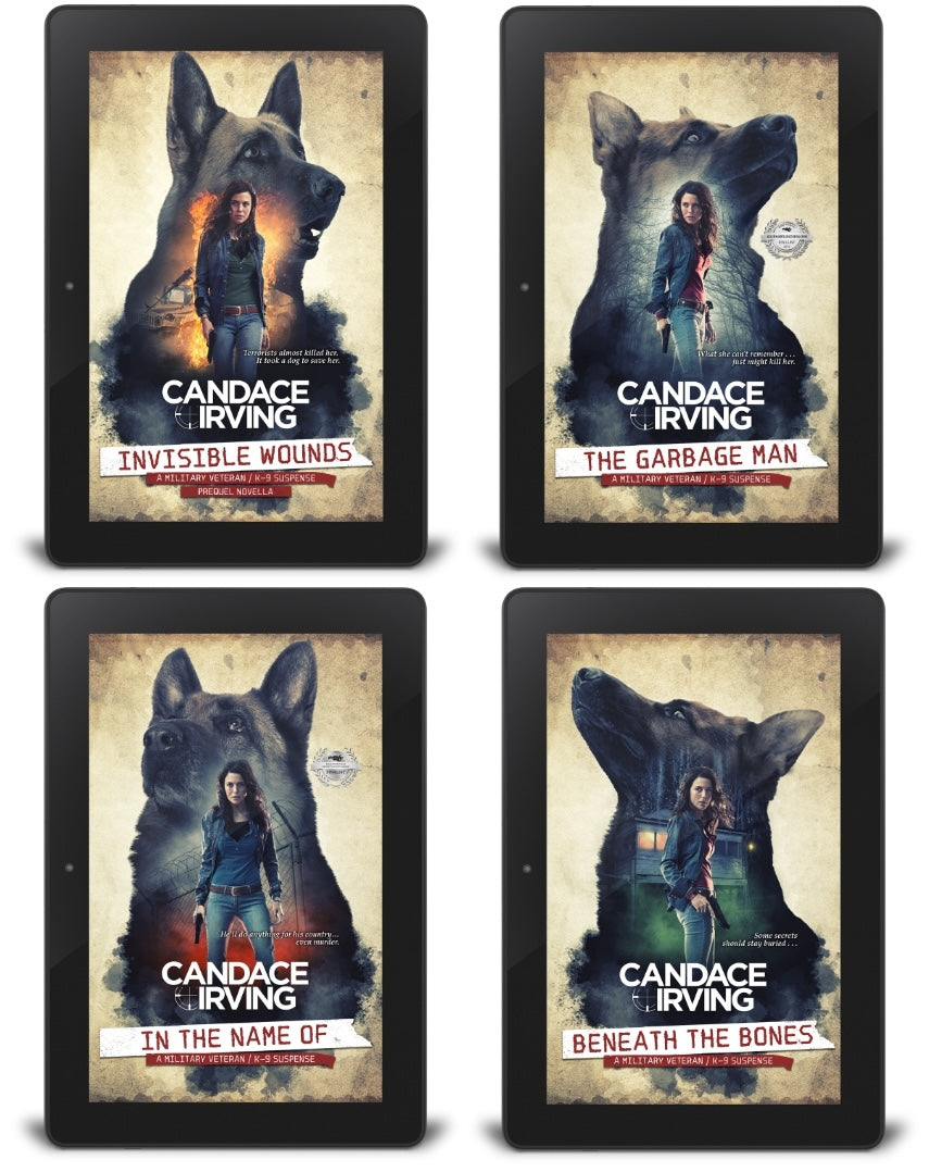 HIDDEN VALOR: PREQUEL + BOOKS 1-3 COLLECTION (EBOOK) – Blind Edge Press