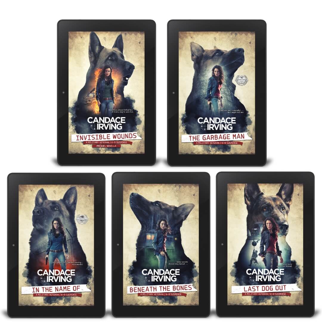 HIDDEN VALOR MILITARY VETERAN/K-9 MYSTERY BUNDLE: PREQUEL + BOOKS 1-4 ...