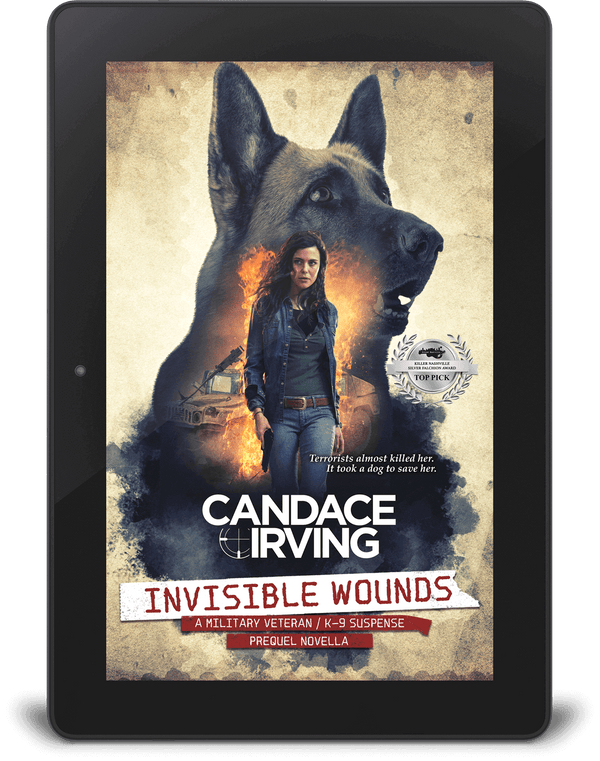 INVISIBLE WOUNDS: A HIDDEN VALOR MILITARY VETERAN/K-9 MYSTERY, Prequel ...