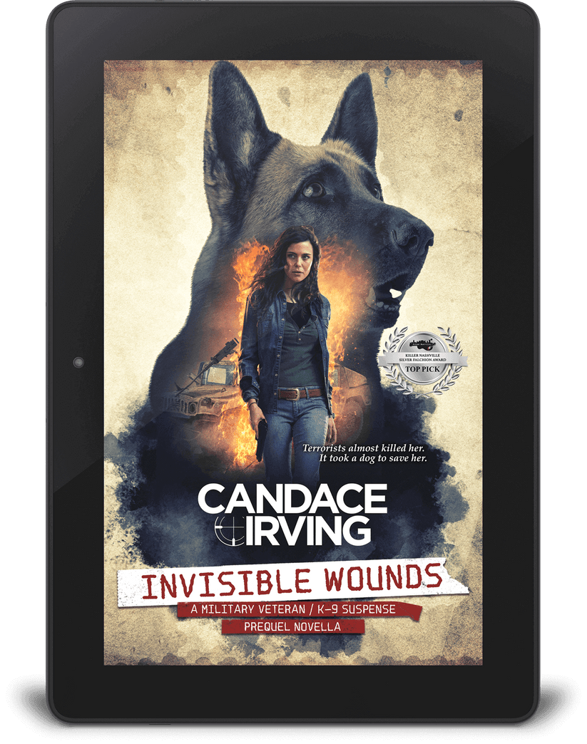 INVISIBLE WOUNDS: A HIDDEN VALOR MILITARY VETERAN/K-9 MYSTERY, Prequel ...
